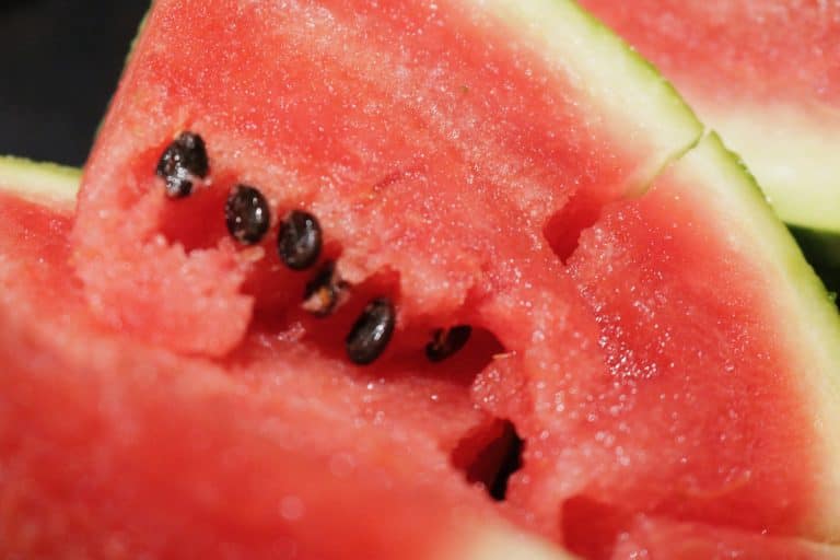 Watermelon - Sandia - Cut The Crap Kitchen - Food in Costa Rica - Fruit